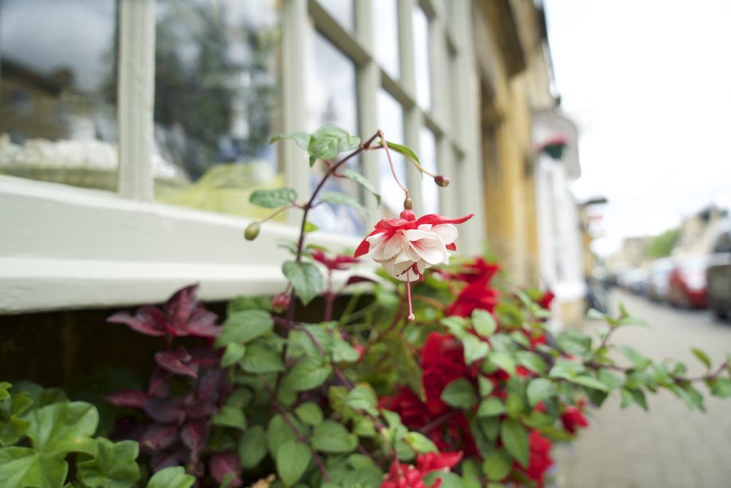 BADGERS HALL BED & BREAKFAST | ⋆⋆ | CHIPPING CAMPDEN, UNITED KINGDOM ...